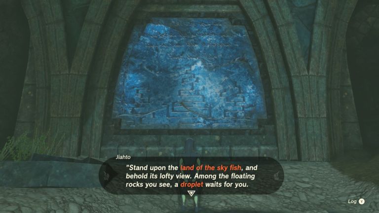 Tears of the Kingdom: How to Get the Land of the Sky Fish in TotK ...