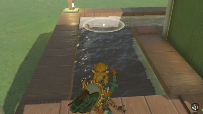 How to Add Fish to Garden Pond in Zelda Tears of the Kingdom - Touch ...