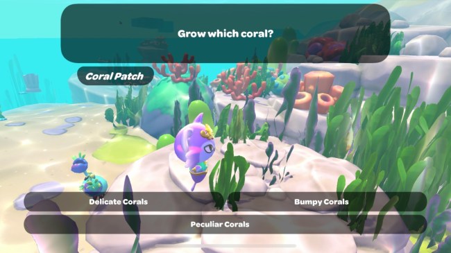 How to Grow Coral in Hello Kitty Island Adventure - Touch, Tap, Play