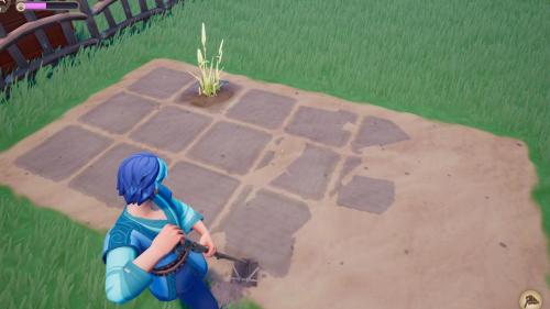 Best Farming Layout in Palia - Touch, Tap, Play