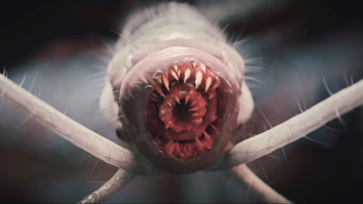 How to Remove the Parasite in Baldur's Gate 3 (BG3) - Touch, Tap, Play