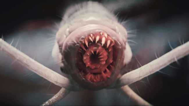 How to Remove the Parasite in Baldur's Gate 3 (BG3) - Touch, Tap, Play