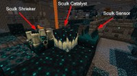 How to Find and Raid Ancient City in Minecraft | Tips & Guide - Touch ...